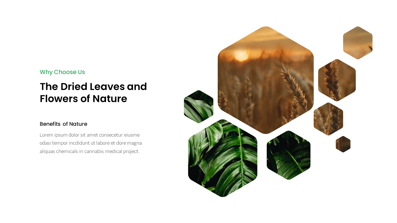 Environ - Nature Greeen Cannabis Presentation, Presentation Templates
