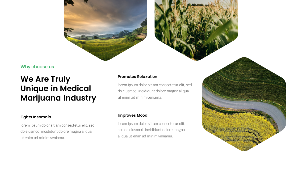 Environ - Nature Greeen Cannabis Presentation, Presentation Templates