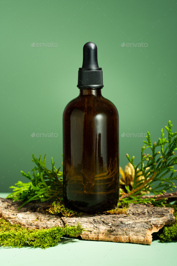 Glass bottle of body oil. Composition of essential oil, moss and tree ...