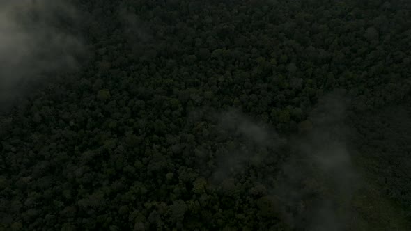 Aerial tilt up shot of deep Amazon Rainforest and dense clouds at sky ...