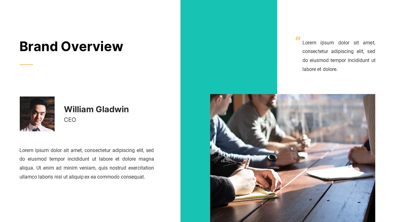 Cohi - Brand Guidelines Powerpoint Template, Presentation Templates