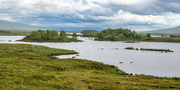 Boggy land of Rannoch moor, Scotland Stock Photo by estivillml | PhotoDune