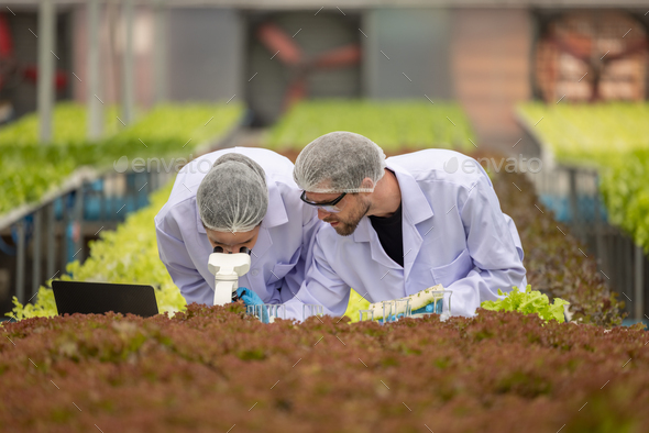 Hydroponic scientists use microscope biotech, biochemistry to analyze greenhouse plant for ...