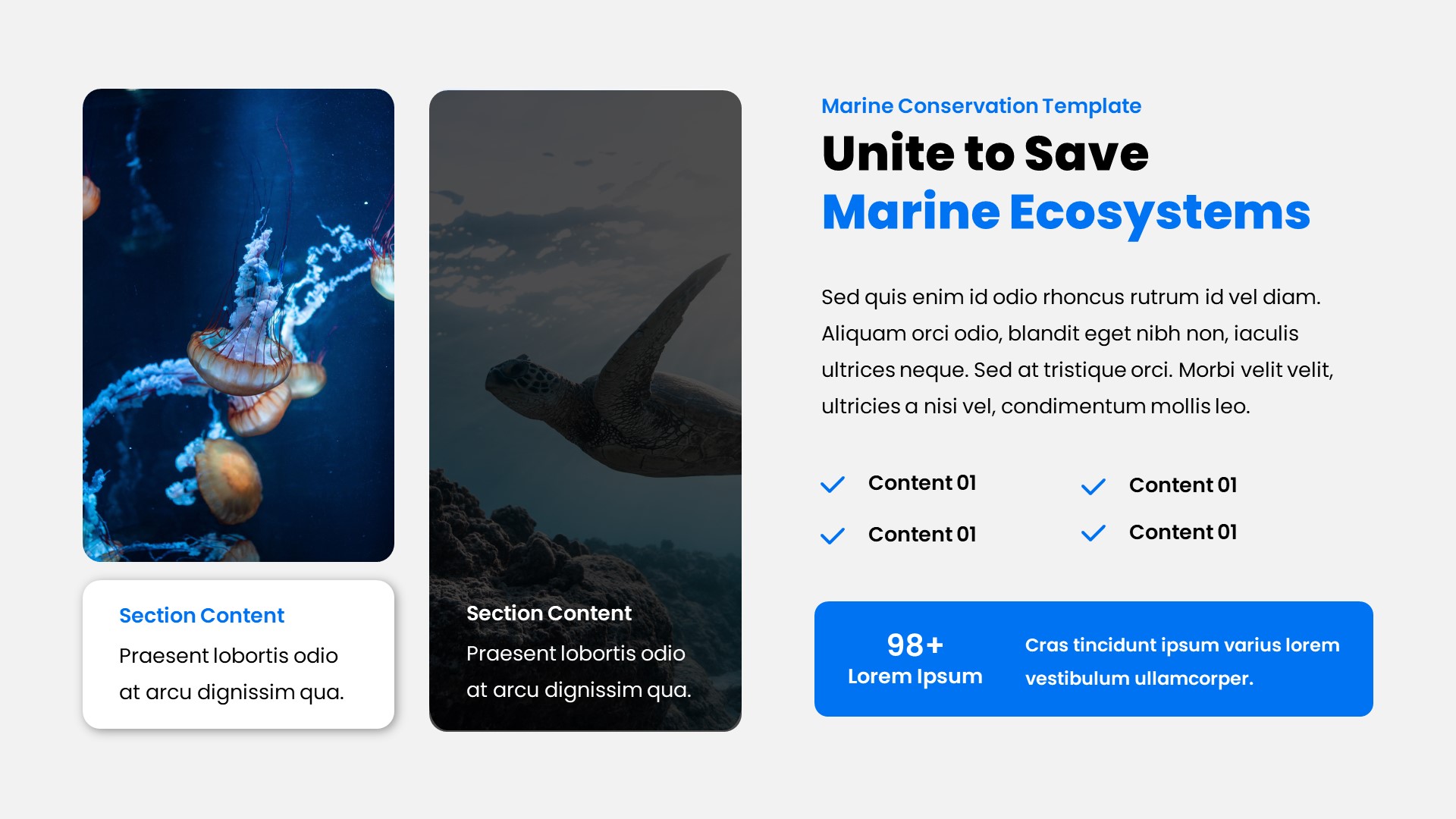 Lawut - Diving Marine Ecosystem Google Slides Template by onelinerdesign