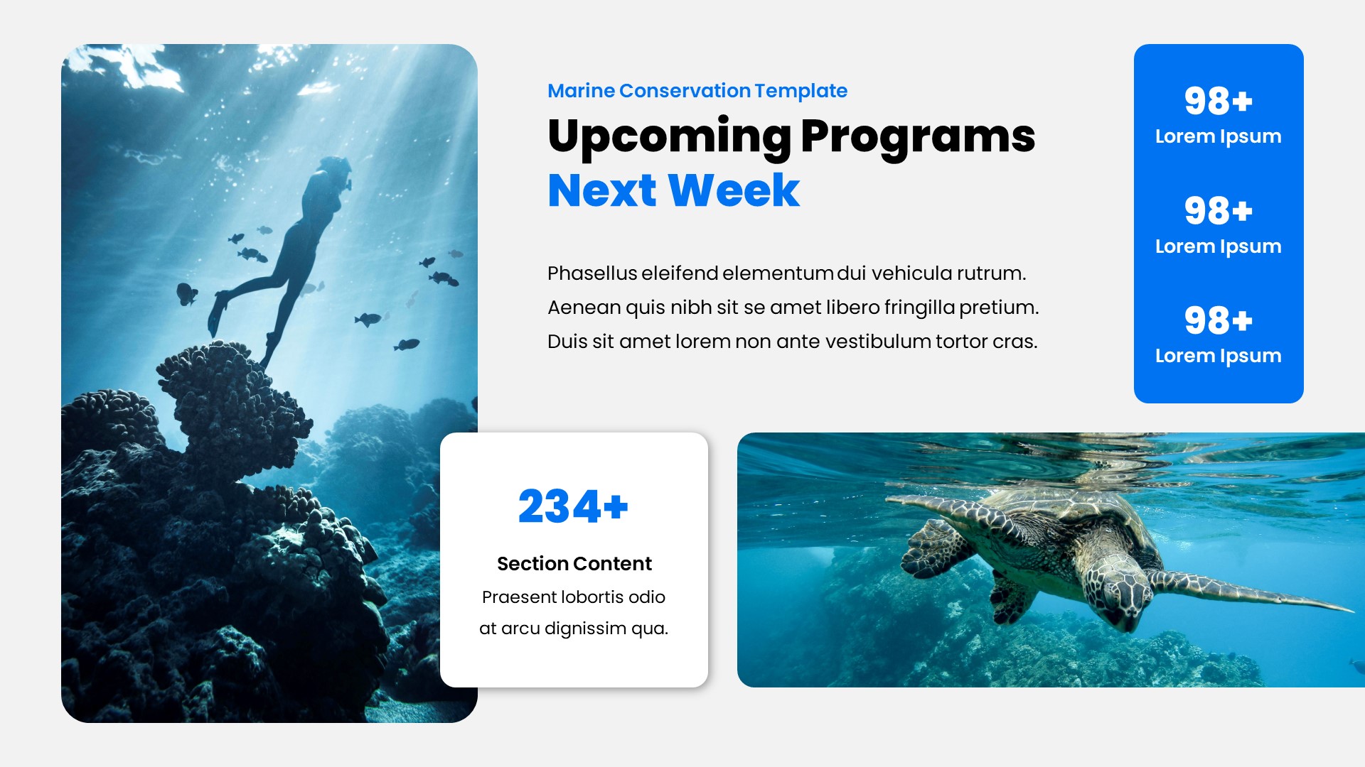 Lawut - Diving Marine Ecosystem Google Slides Template by onelinerdesign