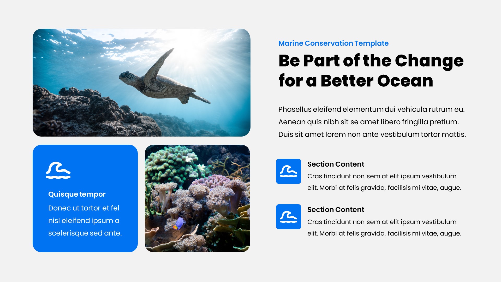 Lawut - Diving Marine Ecosystem Google Slides Template, Presentation ...