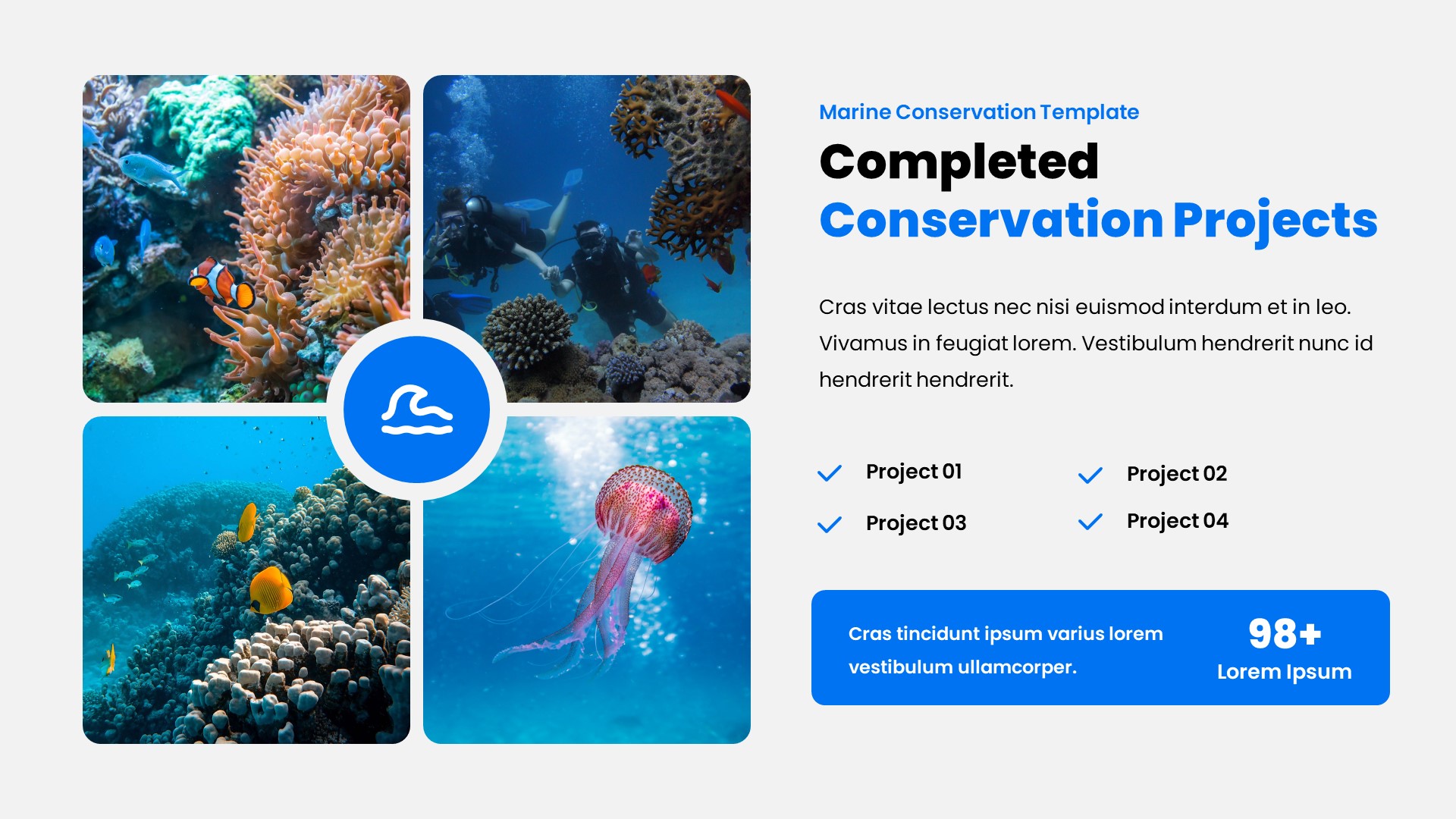 Lawut - Diving Marine Ecosystem Google Slides Template by onelinerdesign
