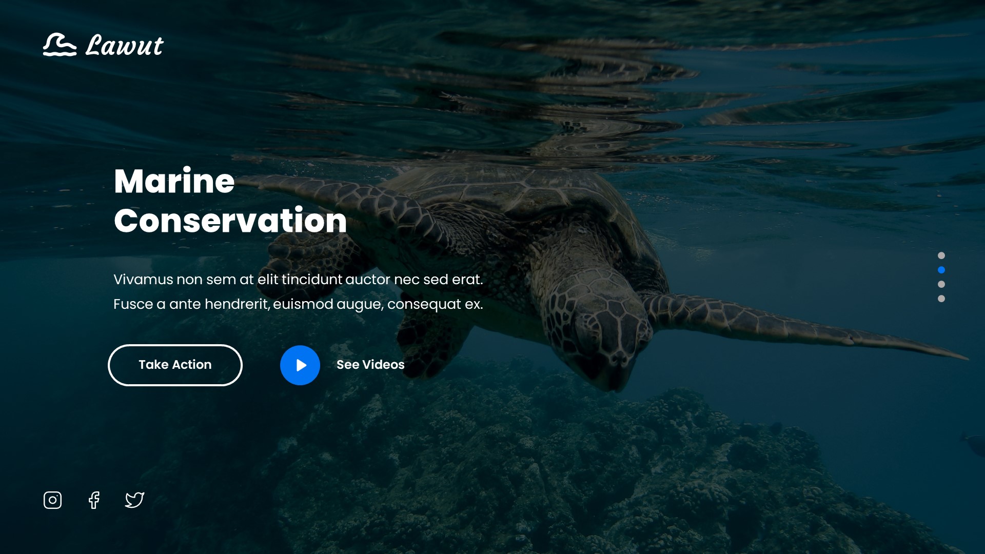Lawut - Diving Marine Ecosystem Google Slides Template, Presentation ...