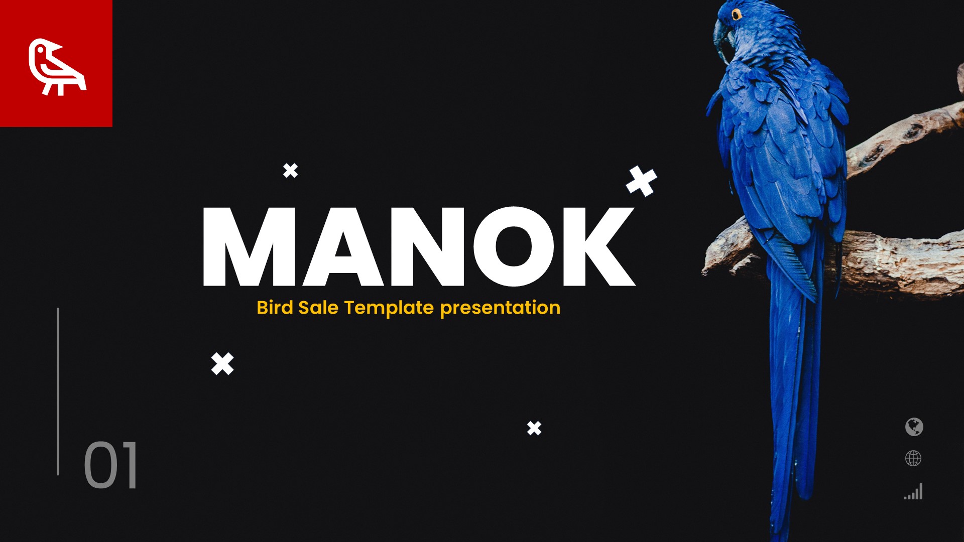 Manok - Bird Animal and Pets Powerpoint Template, Presentation Templates
