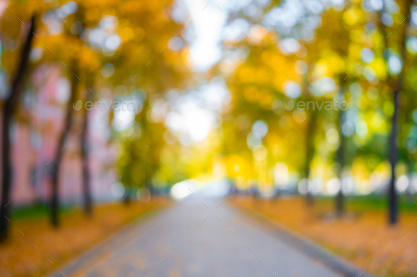 Blurred background of park in fall season. Bright autumn trees with ...