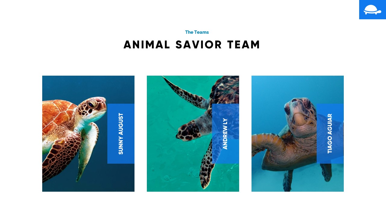 Penyu - Ocean and Sea Animal Powerpoint Template, Presentation Templates