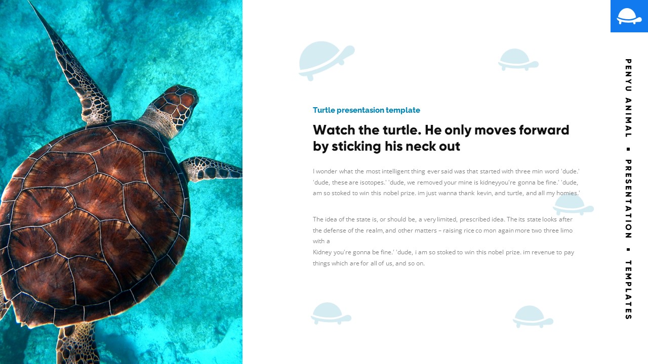 Penyu - Ocean and Sea Animal Powerpoint Template, Presentation Templates