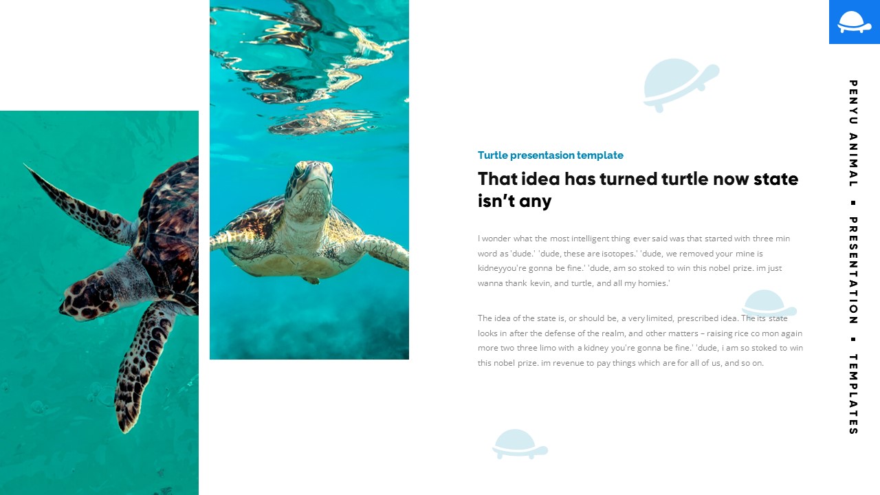Penyu - Ocean and Sea Animal Powerpoint Template, Presentation Templates