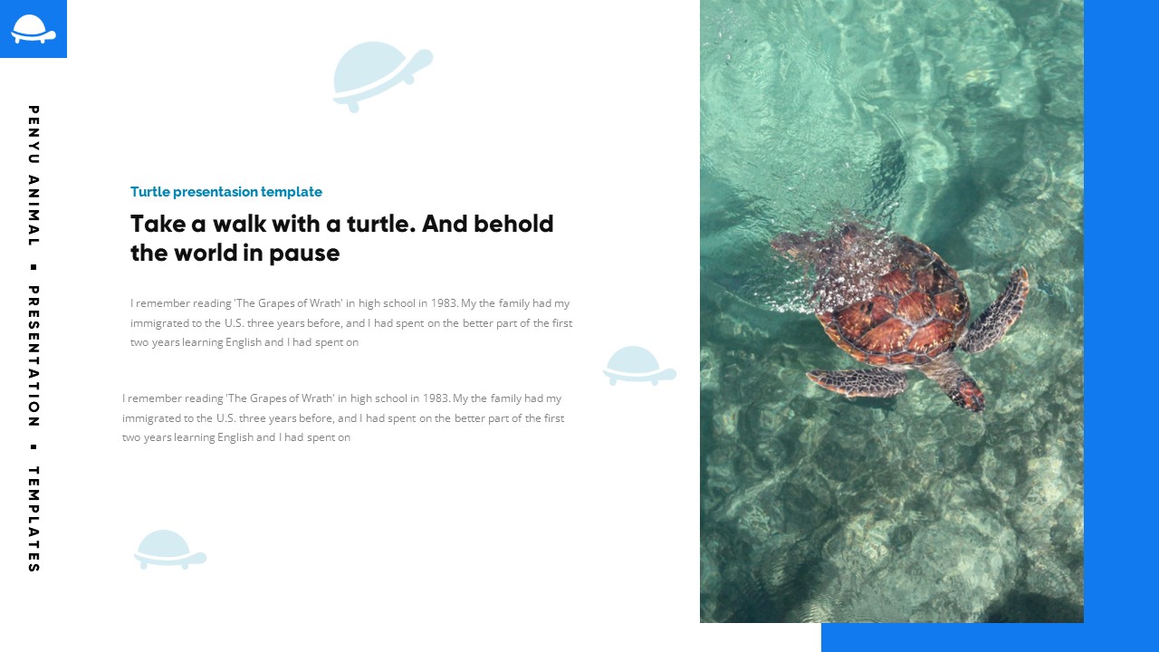 Penyu - Ocean and Sea Animal Powerpoint Template, Presentation Templates