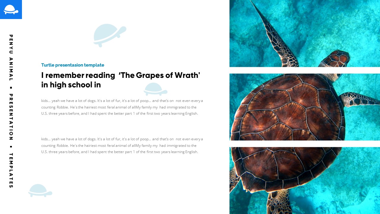 Penyu - Ocean and Sea Animal Powerpoint Template, Presentation Templates