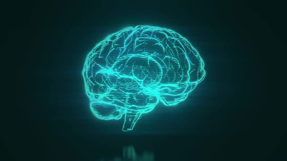 Brain Hologram Visualization Looped Animation, Motion Graphics | VideoHive