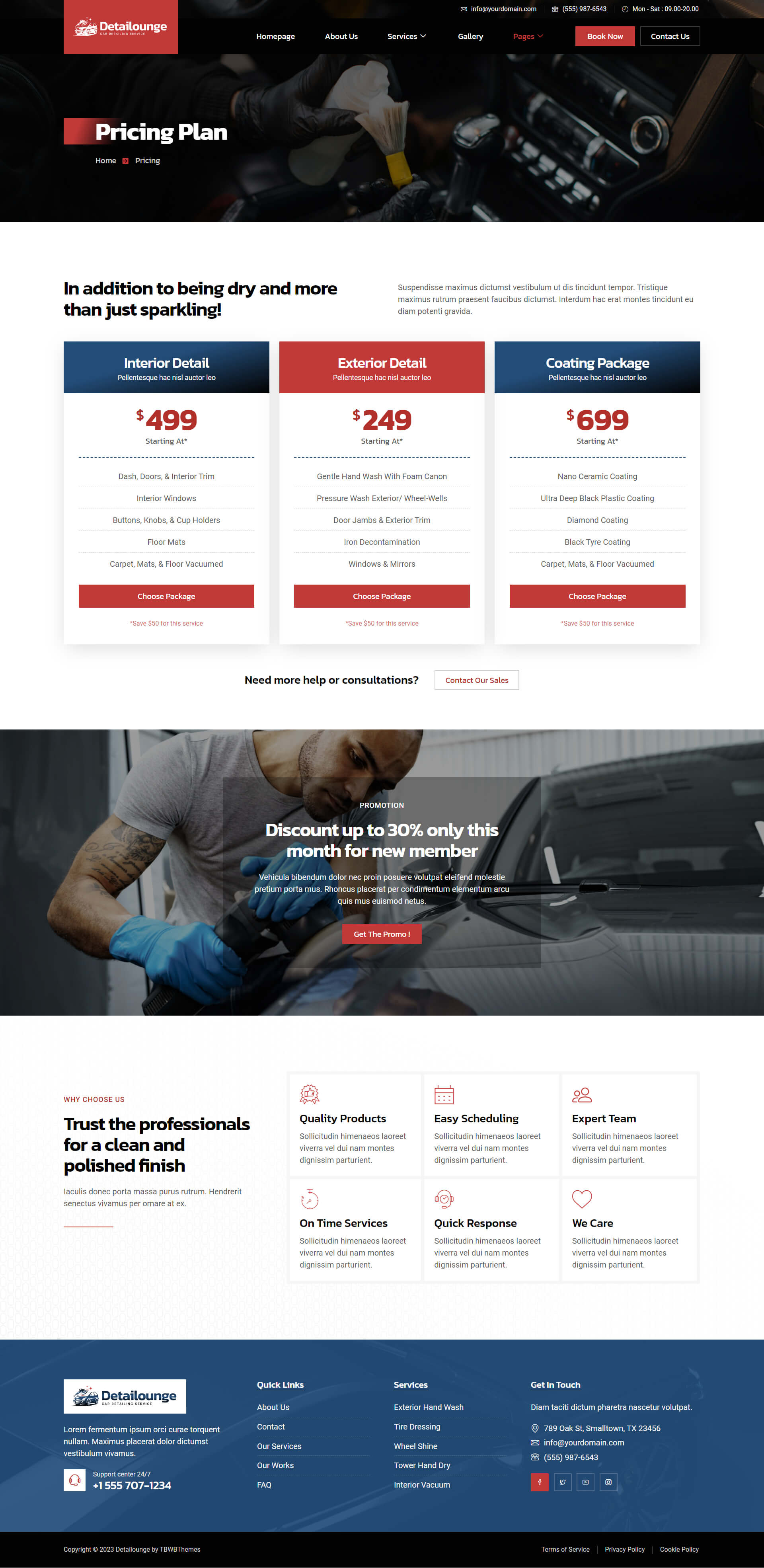 Detailounge - Car Detailing & Repair Service Elementor Template Kit by ...