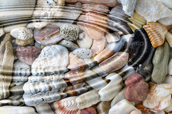 Minerals and shells Stock Photo by mibuch | PhotoDune