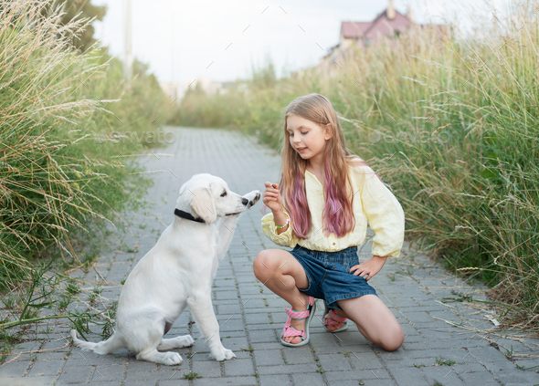 Puppy labrador retriever and little girl Stock Photo by Olena_Rudo