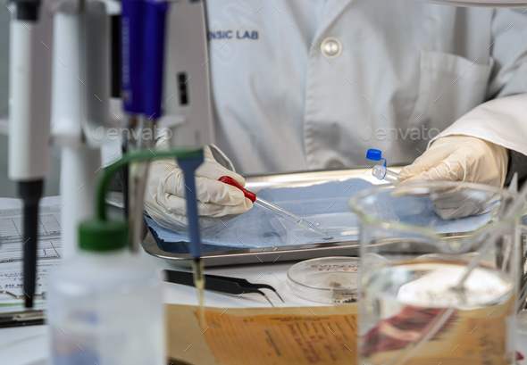 Police scientist prepares vial with distilled water in microcentrifuge ...
