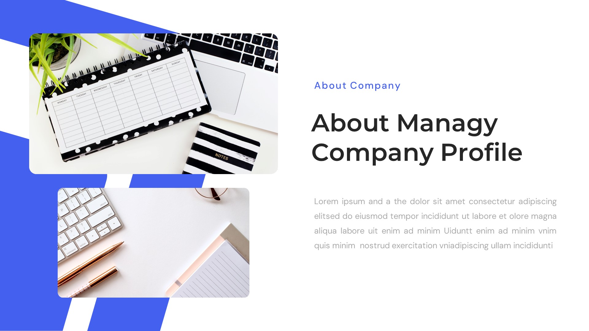 Managy - Company Profile Template, Presentation Templates | GraphicRiver