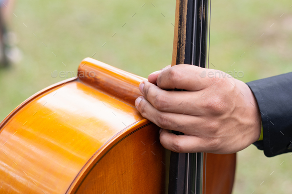 hand of a cellist holding the cello by the neck, artist preparing for ...