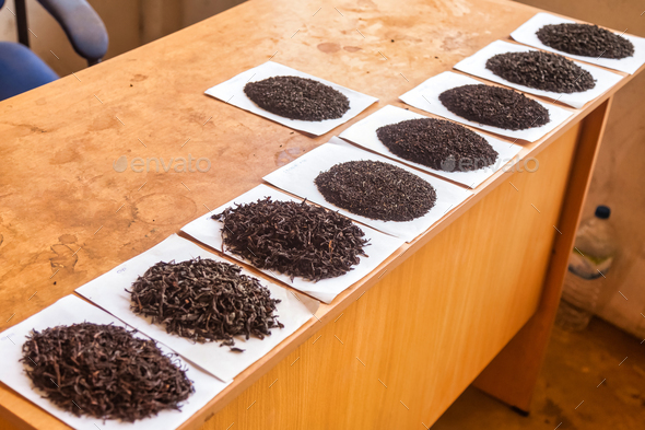 Tea factory. Set of variety ceylon teas on wooden table in meeting room ...