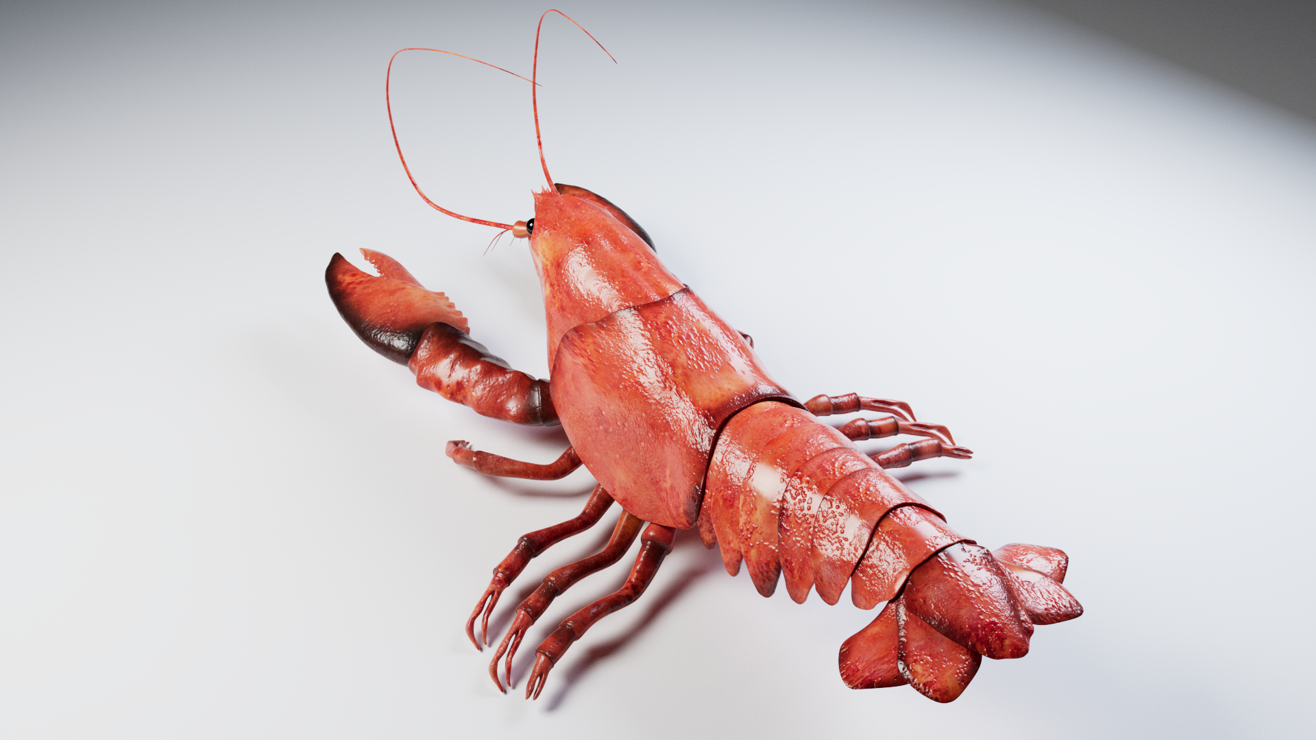 Lobster 3d Model by madi7779 | 3DOcean