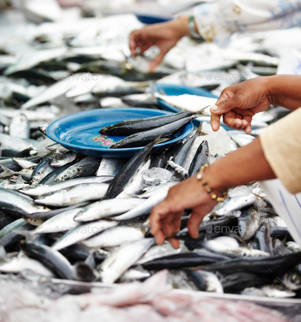 Thai fish vendor sorting fish Stock Photo by YuriArcursPeopleimages