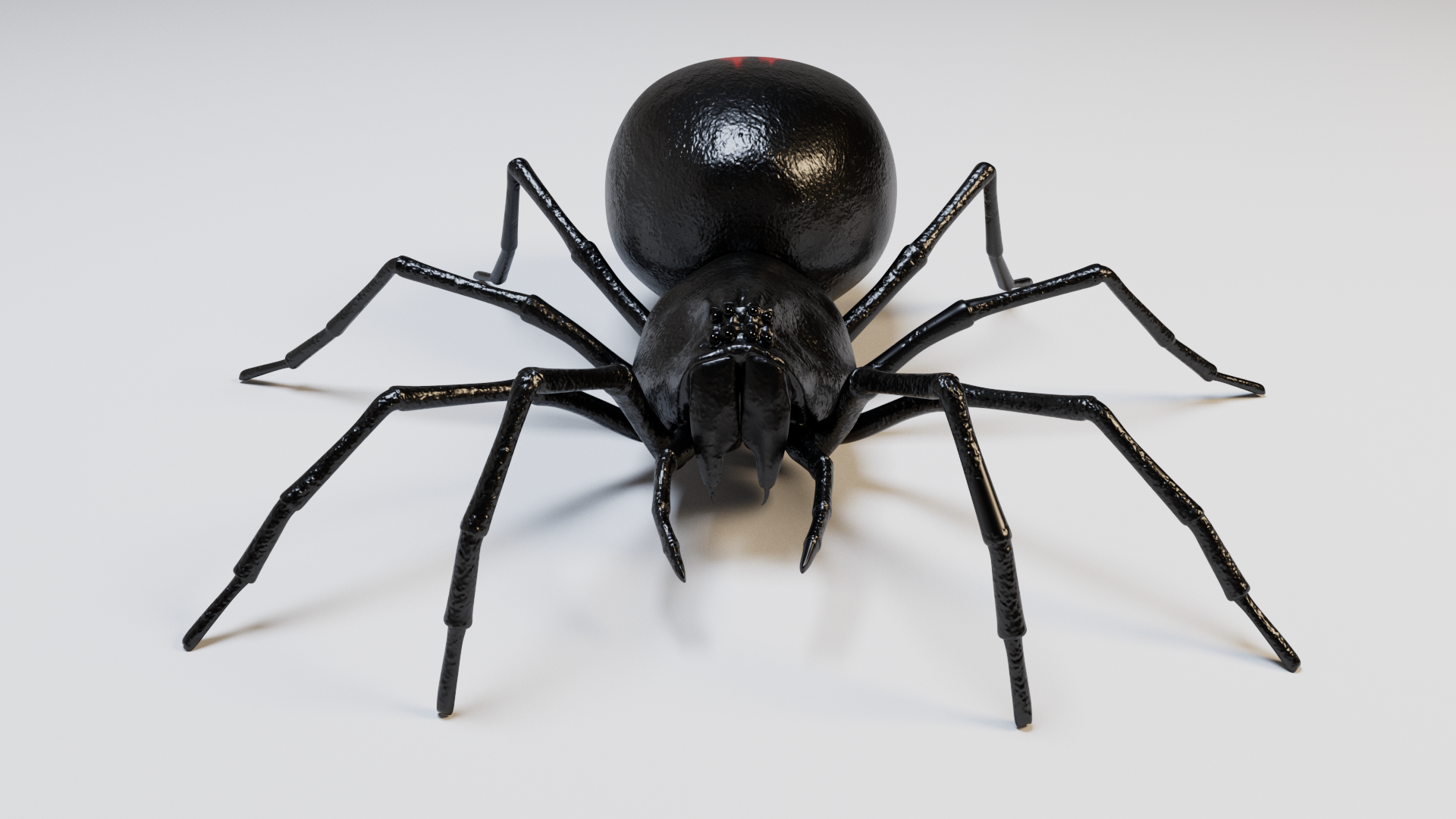 Black Spider 3d Model by madi7779 | 3DOcean