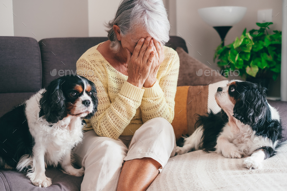 Sad senior woman sitting on sofa crying with hands on face close to her ...