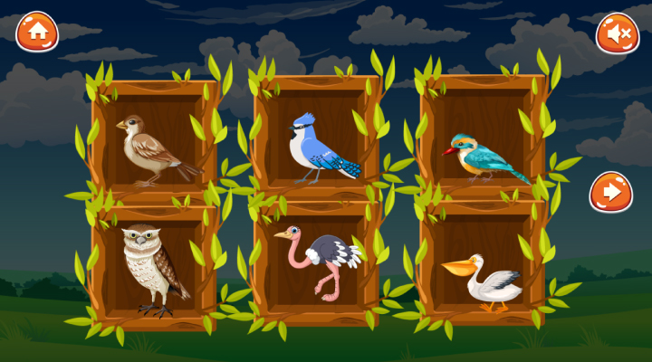 Meet The Birds Game- Educational Game - HTML5, Construct 3 Game by ...