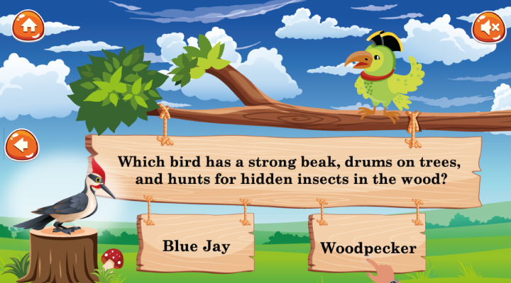 Meet The Birds Game- Educational Game - HTML5, Construct 3 Game by ...