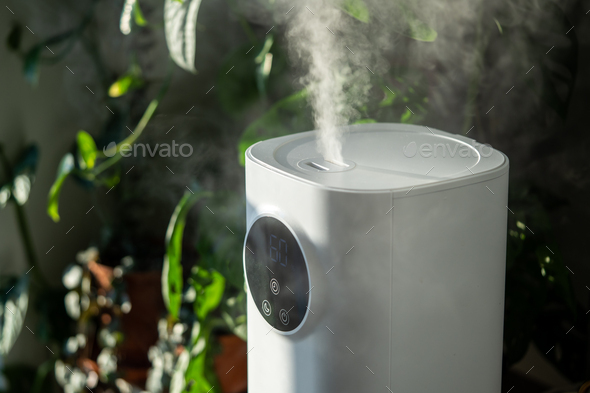 Modern humidifier at home, moistens dry air surrounded by indoor plant ...