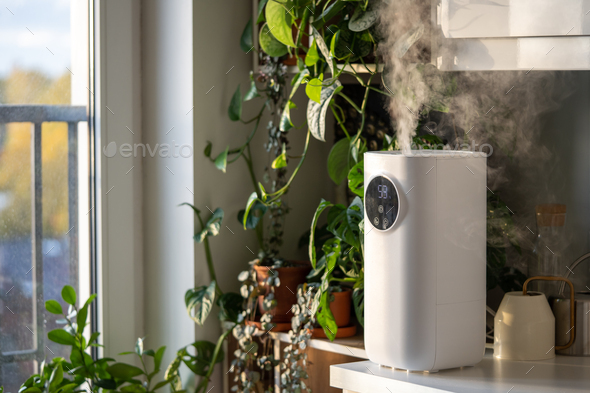 Modern humidifier at home, moistens dry air surrounded by indoor plant ...