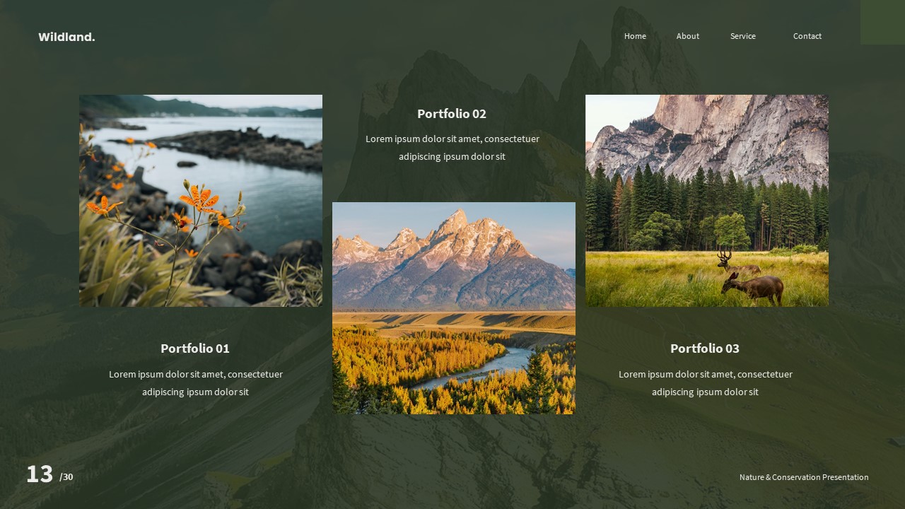 Wildland - Conservation Powerpoint Templates, Presentation Templates