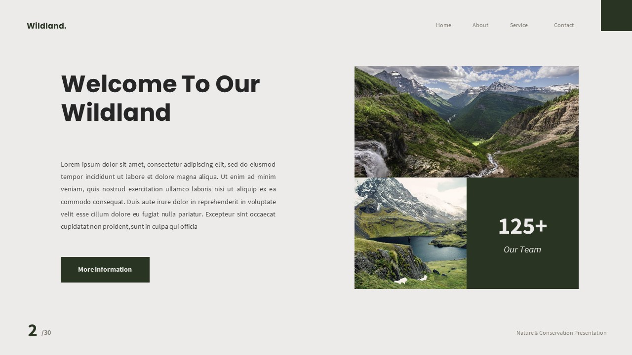 Wildland - Conservation Powerpoint Templates, Presentation Templates