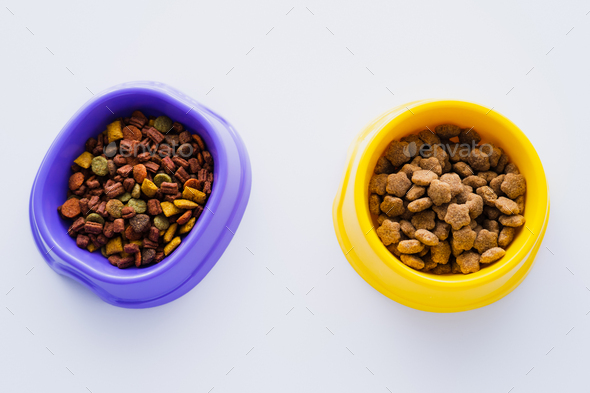 top view of plastic bowls with different pet food isolated on white ...