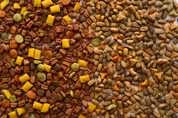 top view of dry pet food in different shapes as background Stock Photo ...