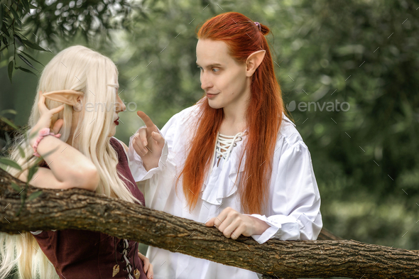 An elf man and an elf woman are standing near a tree. A pair of ...