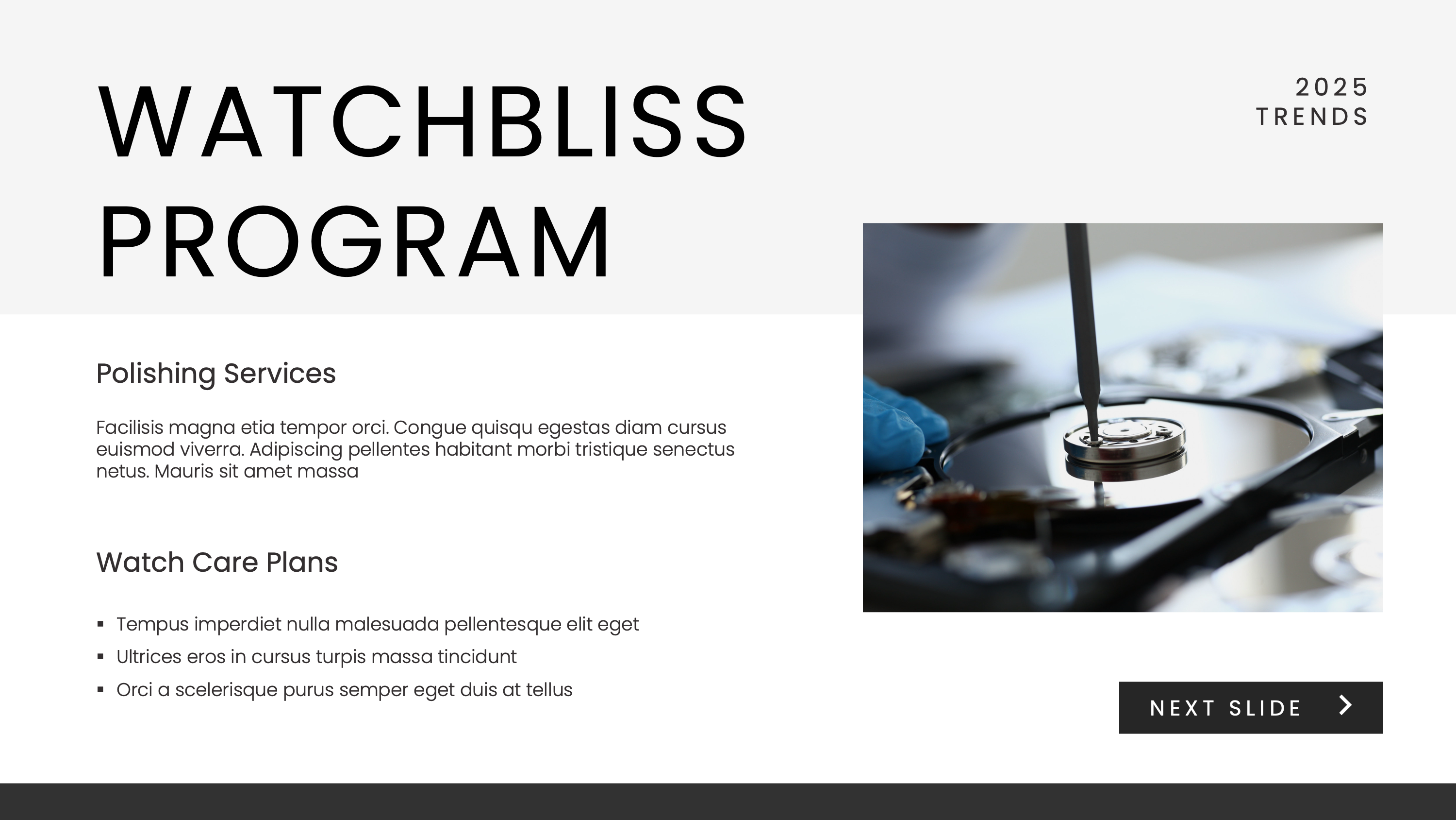 Watchbliss - Minimalis Watch Presentation PowerPoint Design Template ...