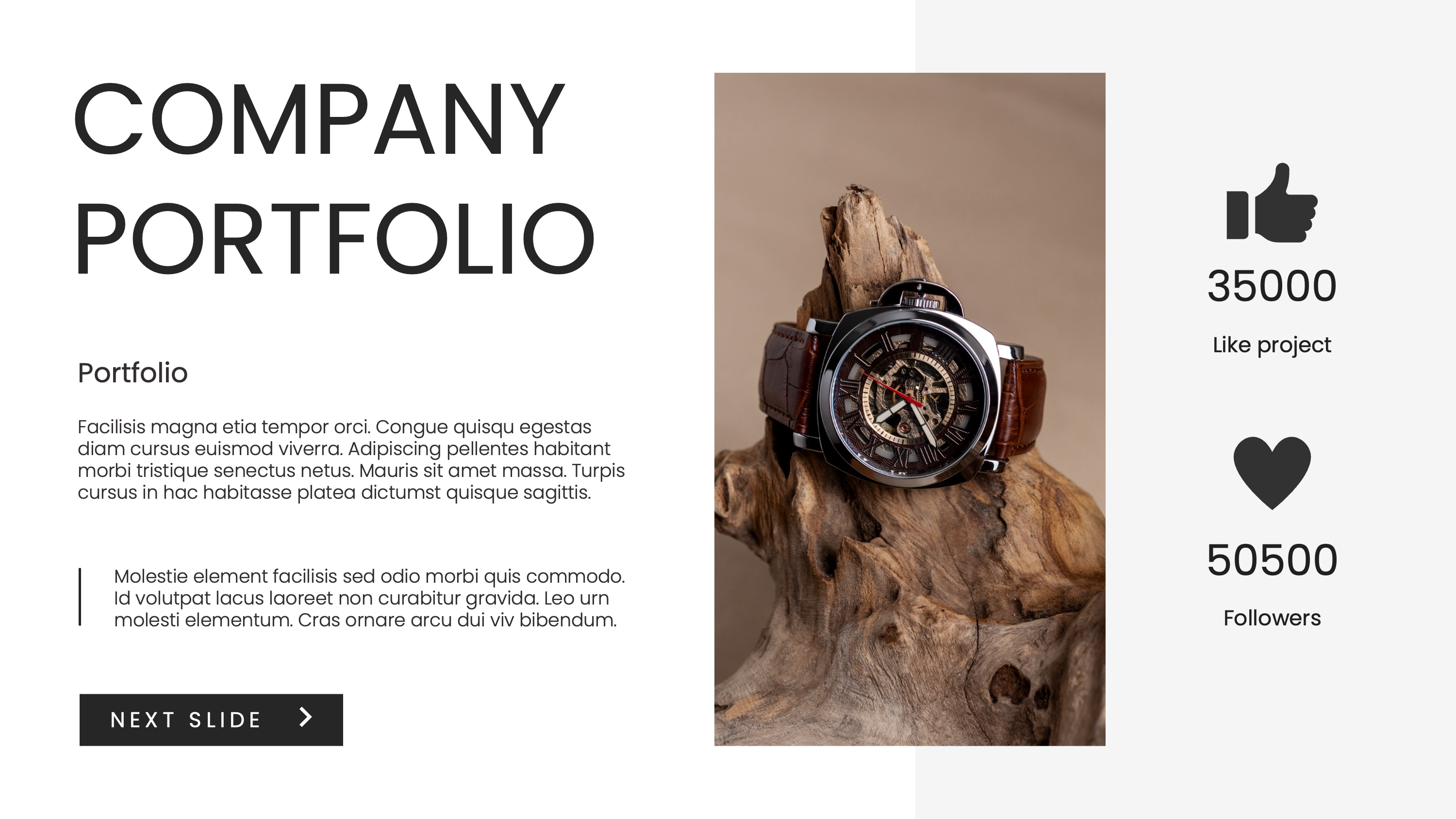 Watchbliss - Minimalis Watch Presentation PowerPoint Design Template ...