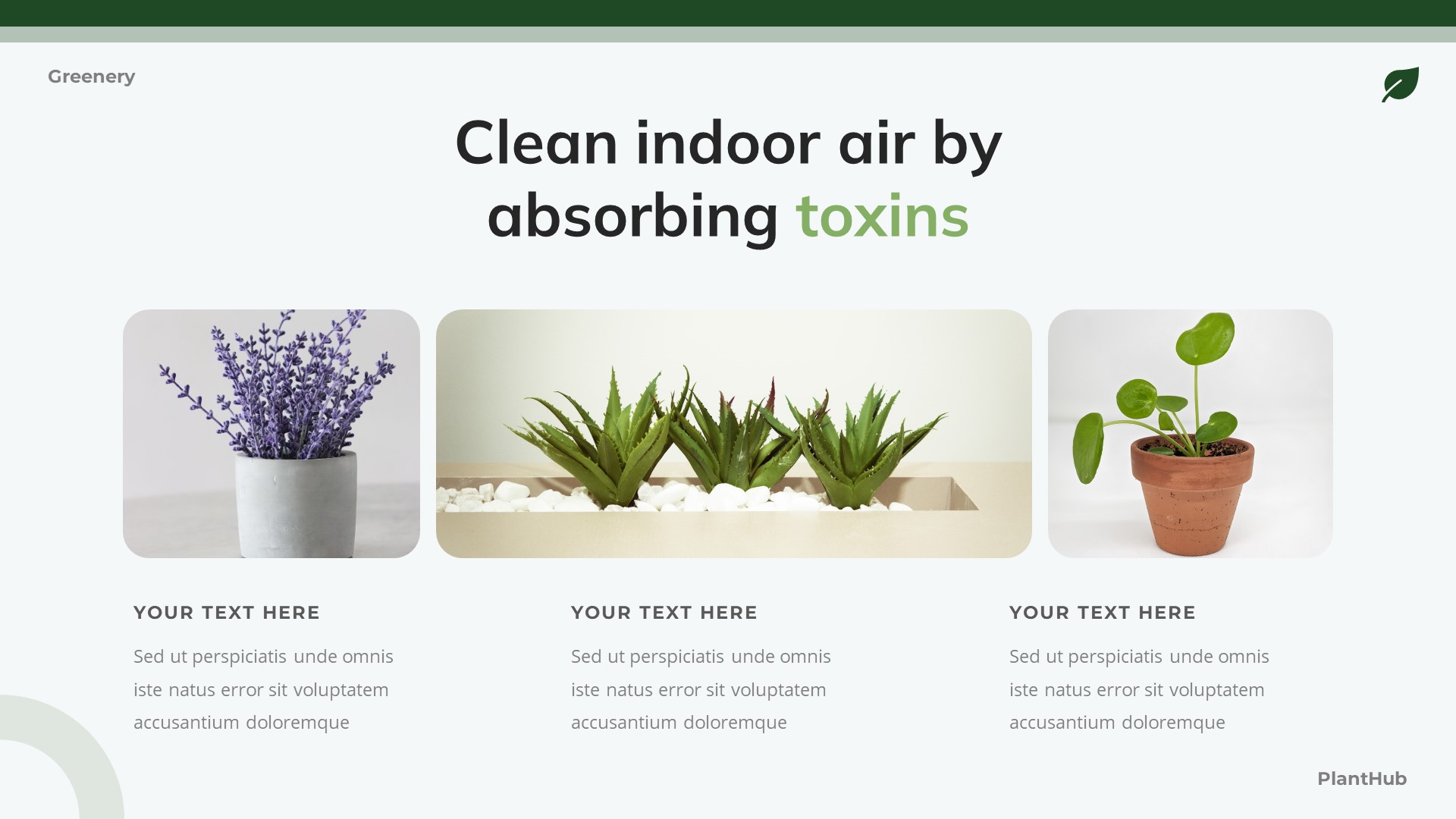 Greenery - plants and vegetation PowerPoint template, Presentation ...