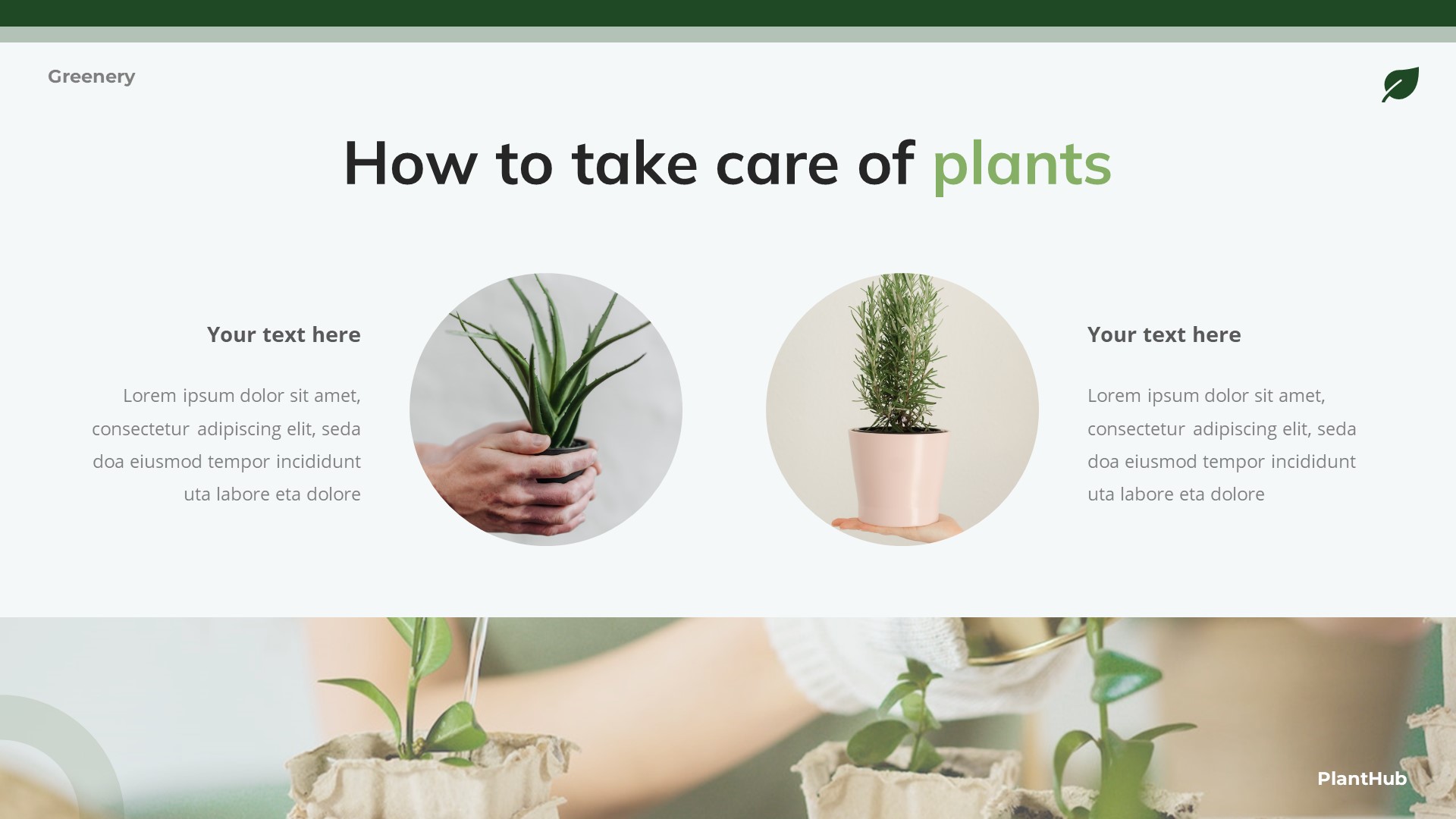 Greenery - plants and vegetation PowerPoint template, Presentation ...