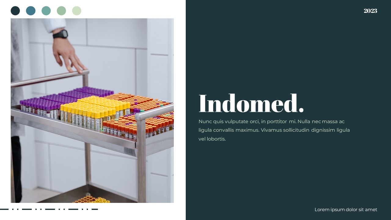 Indomed - Multipurpose Health Medical Business Plan Powerpoint ...