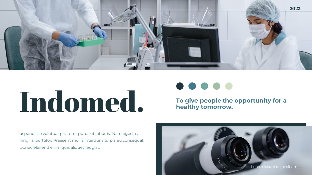 Indomed - Multipurpose Health Medical Business Plan Powerpoint ...