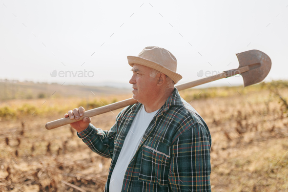 Steadfast in Farming Senior Man Walking with Shovel, back view and ...