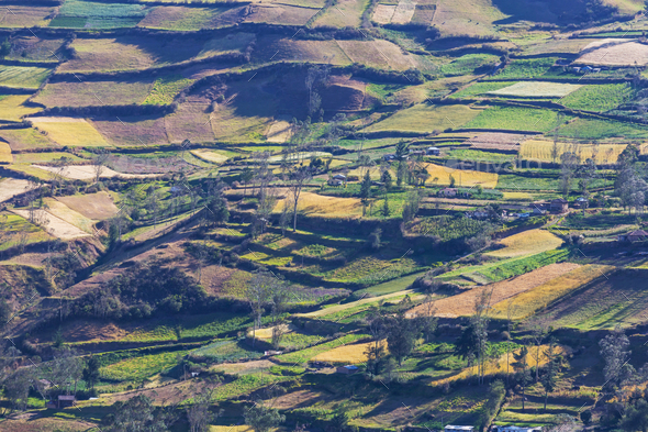 Rural landscapes in Ecuador Stock Photo by Galyna_Andrushko | PhotoDune