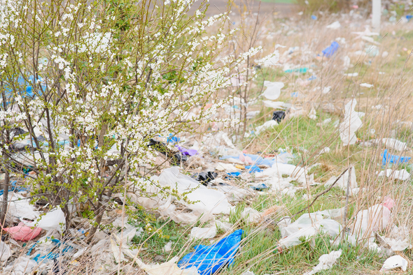 Ecological pollution of nature. Plastic bag tangled in plants against ...