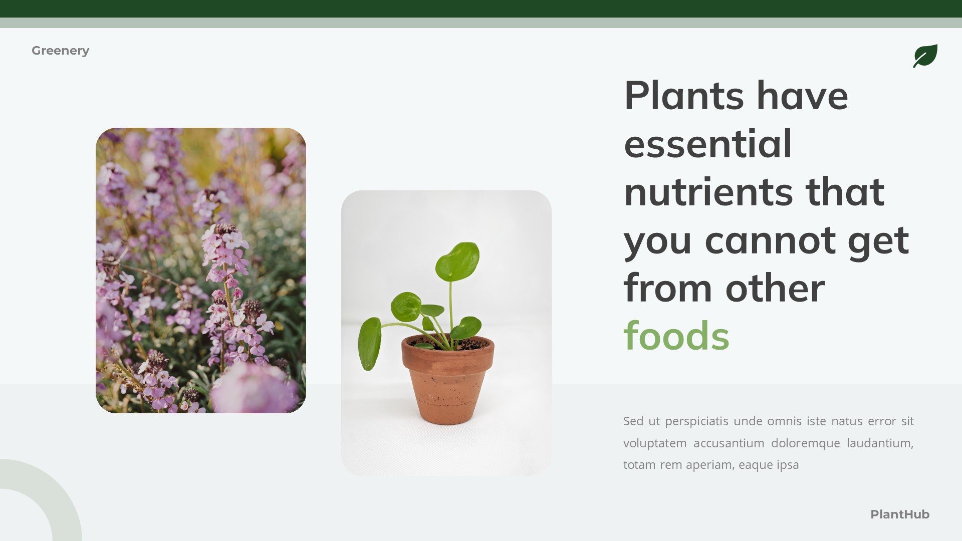 Greenery - plants and vegetation Keynote template, Presentation Templates